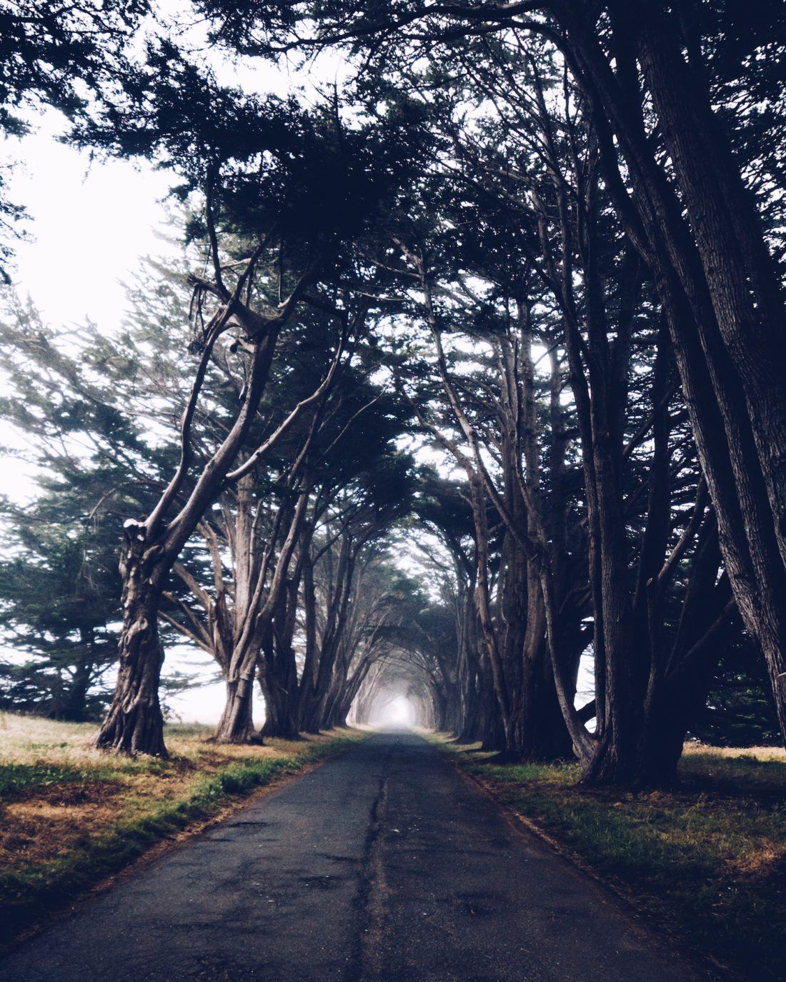#SFGuide Featured Photographer: Matthew Collazo | 49Miles.com